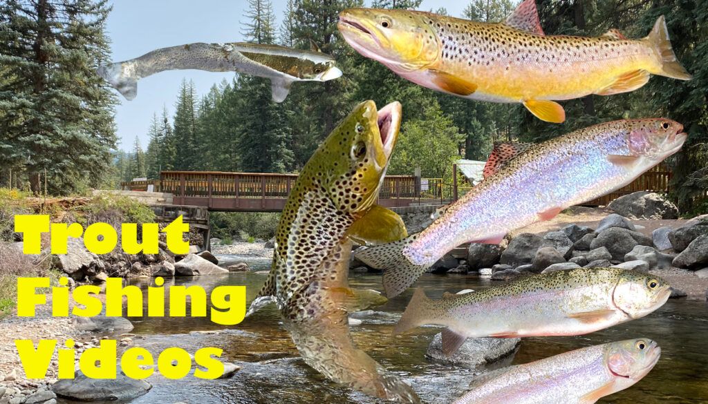 Trout Fishing Videos | Mike and Rick Outdoors