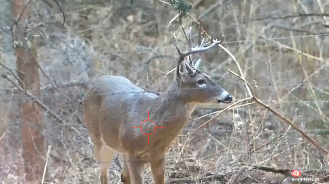 10-point-white-tail-buck-2 | Mike and Rick Outdoors